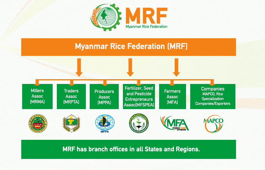 Organization | Myanmar Rice Federation